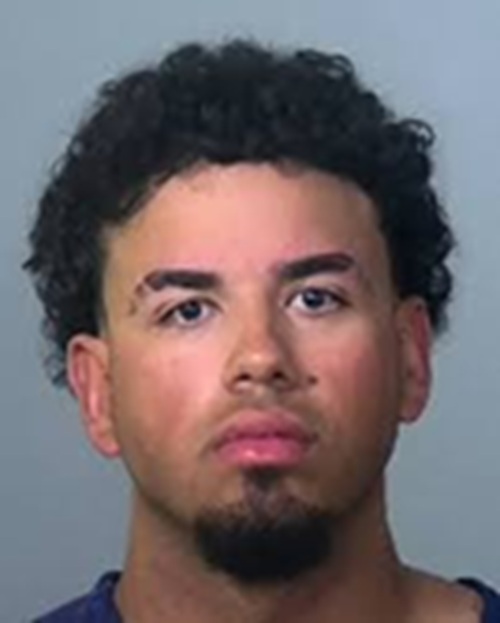 Minor League Baseball Player Arrested In Deadly Florida Hit-and-Run Crash